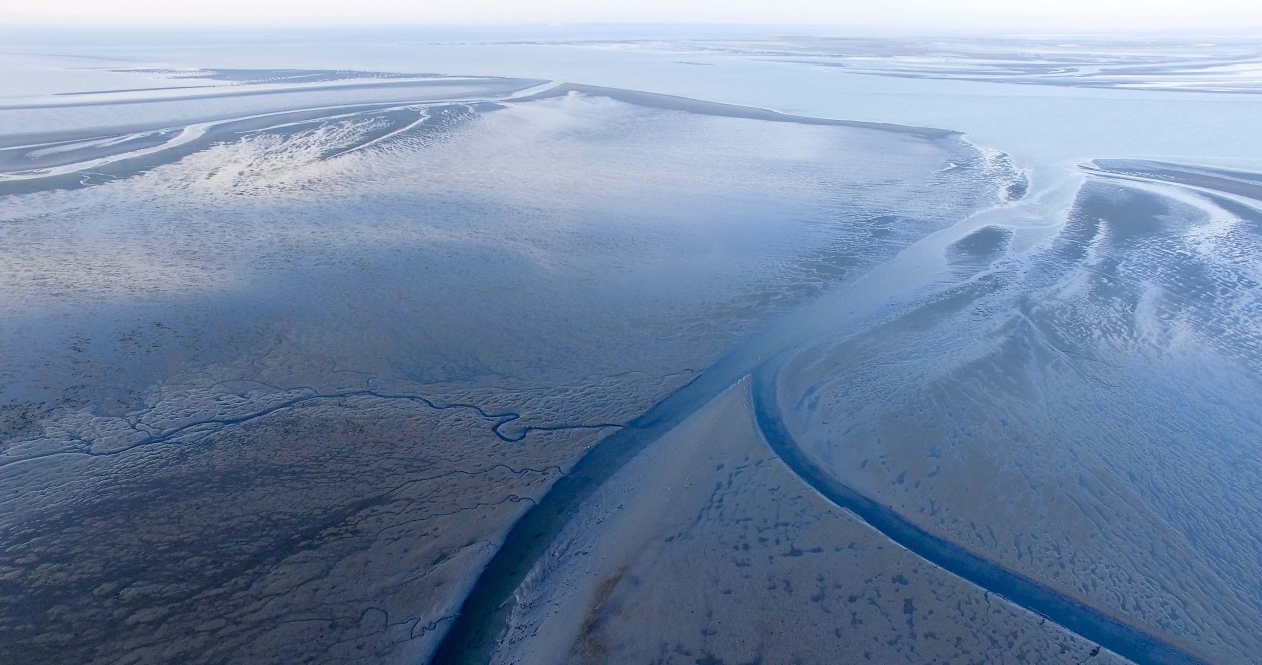 Langs geul en getijde: ontdek de Waddenrijkdom!